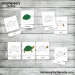 Parts of a Turtle Montessori Nomenclature Cards (editable PDF) - Etsy