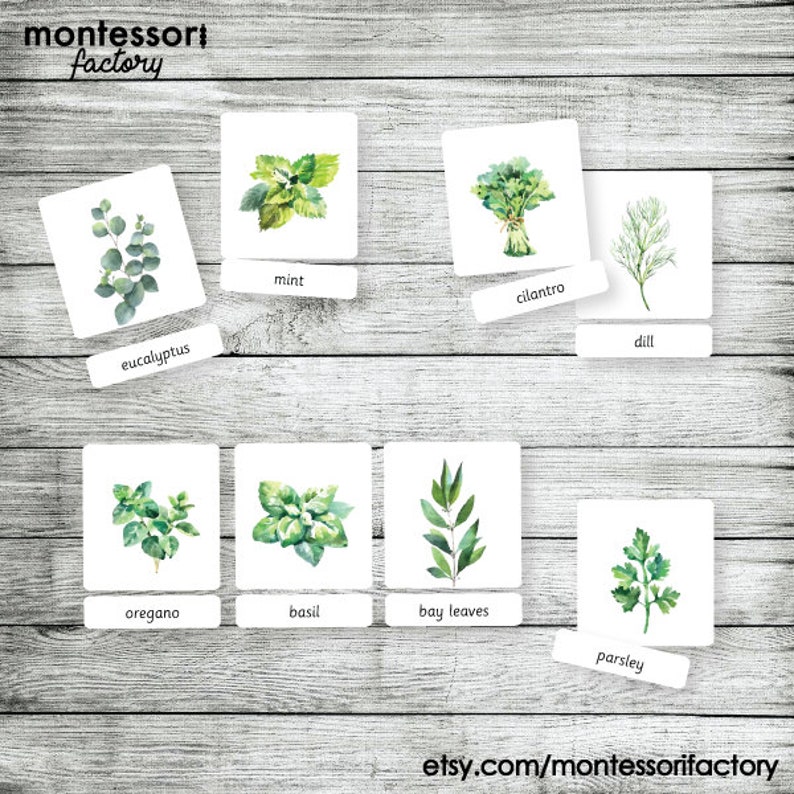 HERBS Montessori Cards Flash Cards Three Part Cards | Etsy