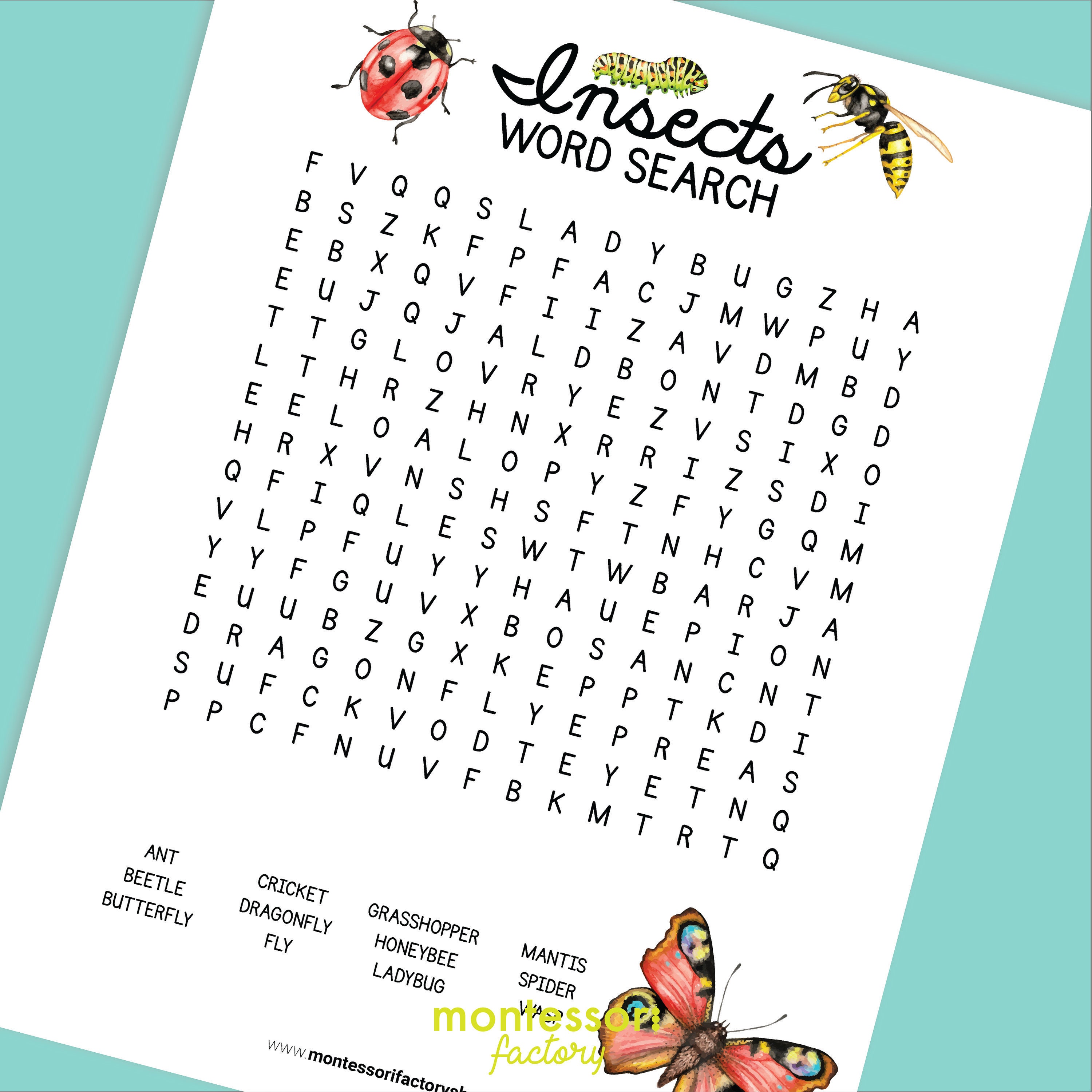 Insect Word Search Worksheet