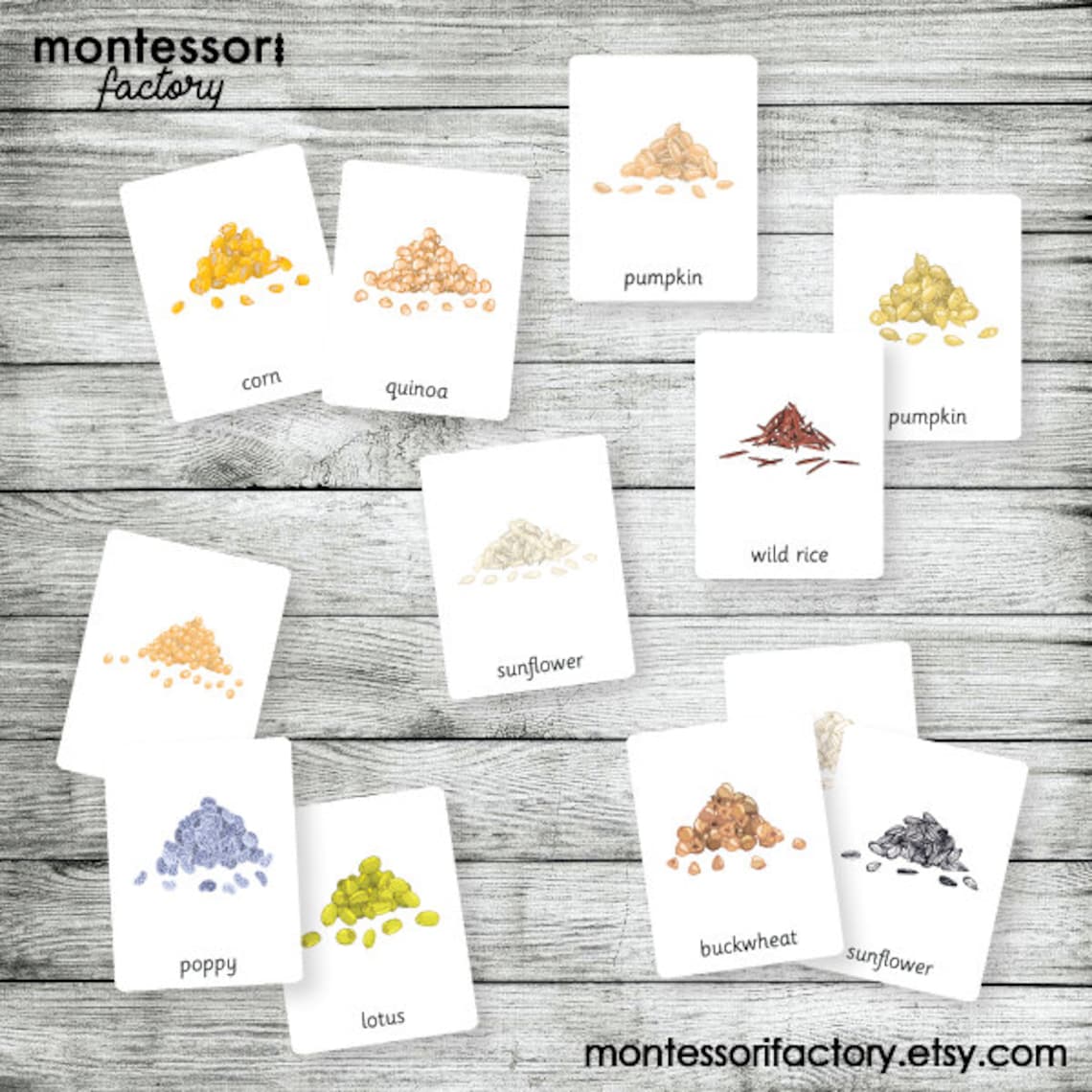 Cereal SEEDS and GRAINS Montessori Cards Flash Cards Three - Etsy
