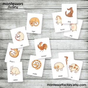 CHINESE ZODIAC • HOROSCOPE Signs • Flash Cards • Three Part Cards ...