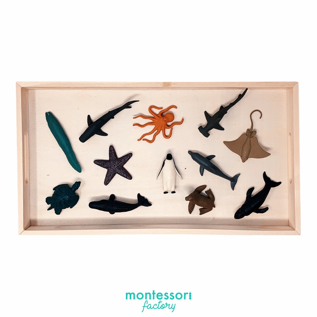 OCEAN ANIMALS • TOOB Figurines Set • Montessori Toy • Sensory Bin ...