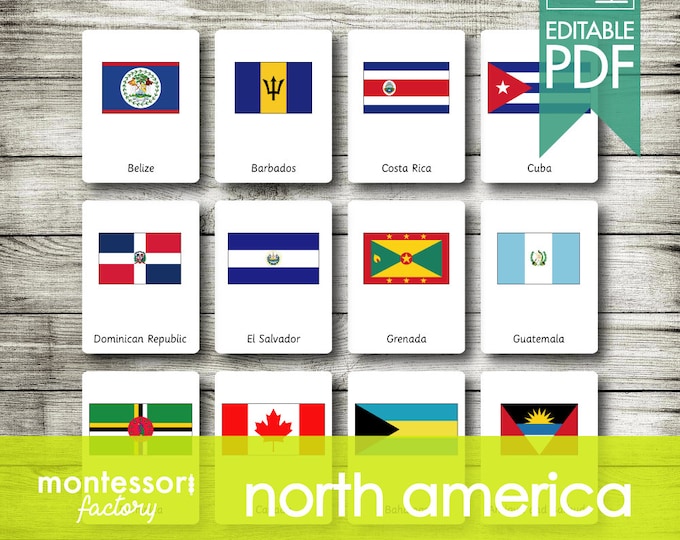 WORLD CONTINENTS • Montessori Cards • Flash Cards • Three Part Cards ...