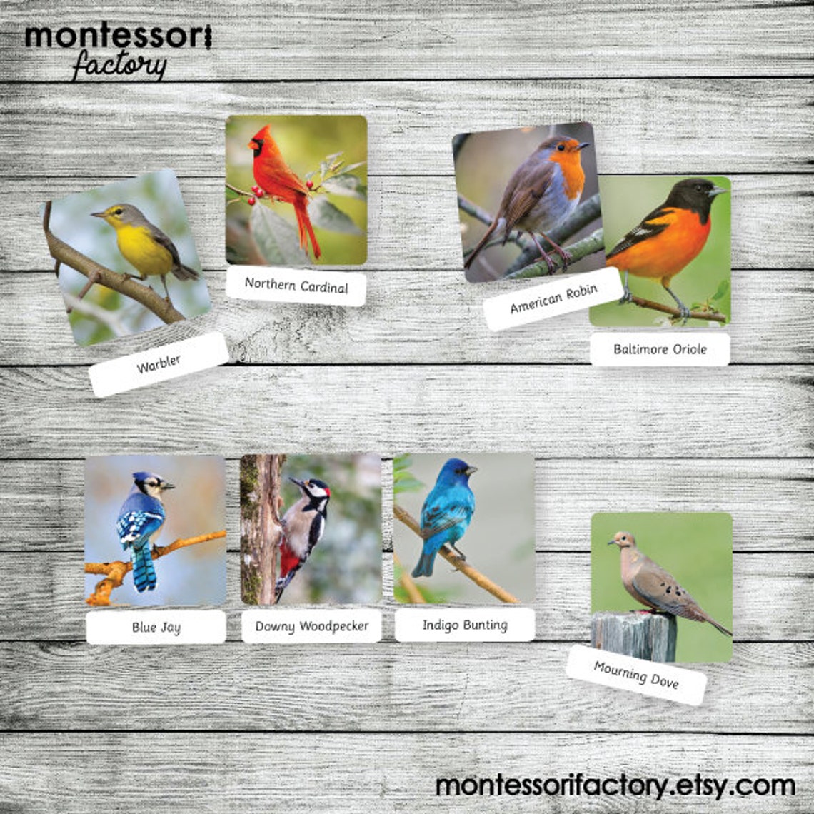 BACKYARD BIRDS Montessori Cards Flash Cards Three Part - Etsy