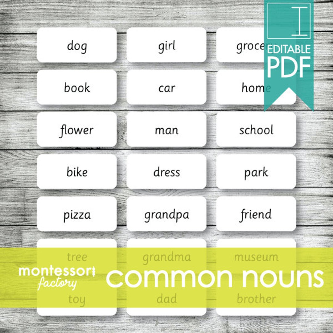 COMMON NOUNS • Montessori Cards • Educational Material • Homeschooling ...