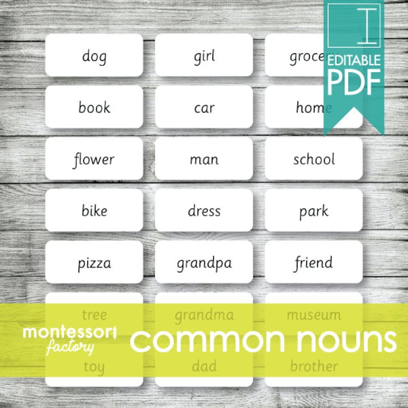 COMMON NOUNS Montessori Cards Educational Material | Etsy