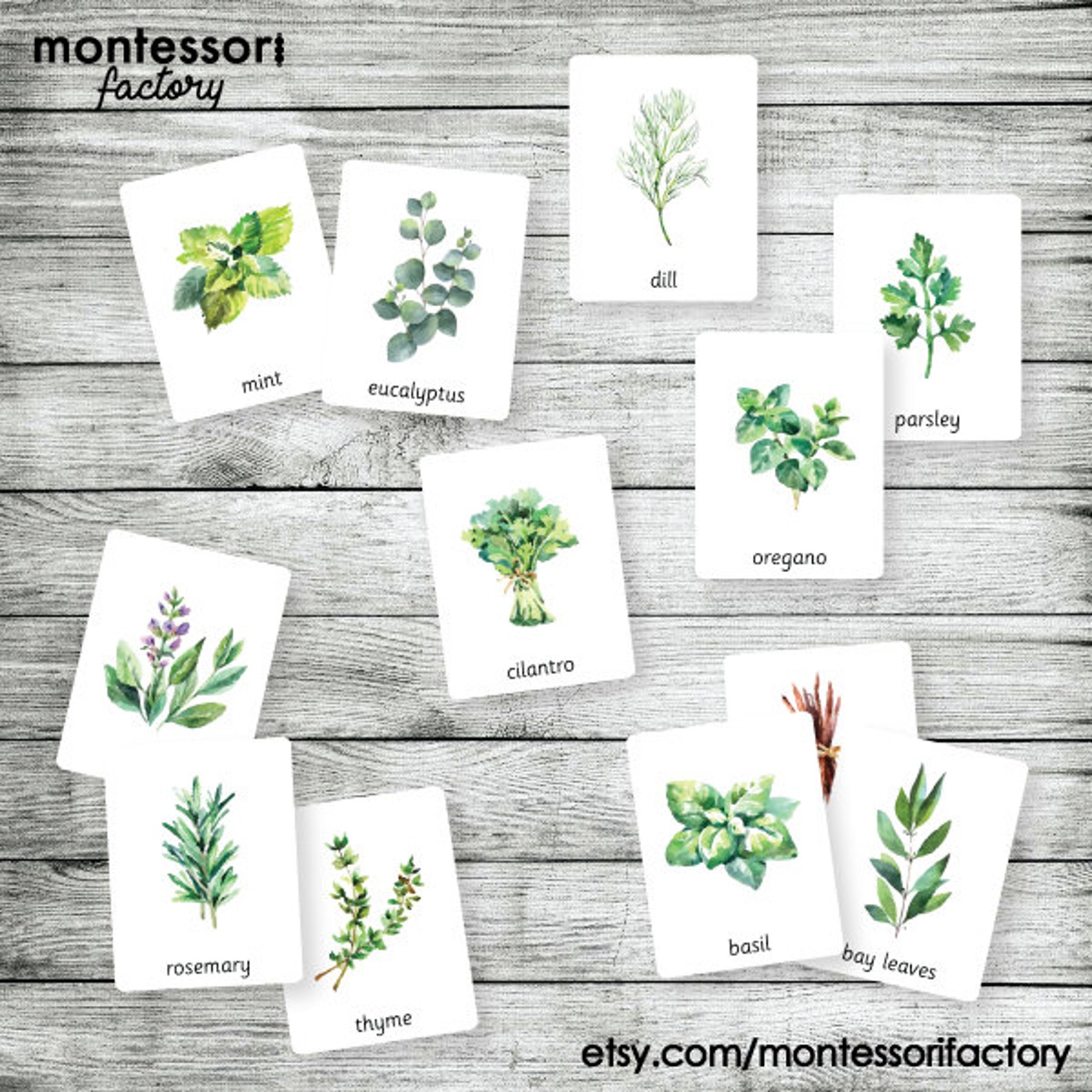 HERBS Montessori Cards Flash Cards Three Part Cards | Etsy