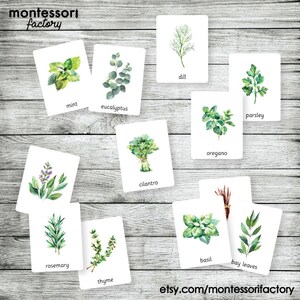 HERBS • Montessori Cards • Flash Cards • Three Part Cards ...