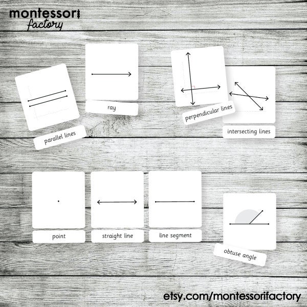 TYPES of LINES Montessori Cards Flash Cards Three Part | Etsy