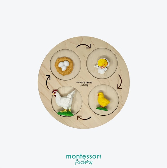 Life Cycle of a CHICKEN HEN Montessori Material - Etsy