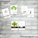 PARTS of a TREE Montessori Cards Flash Cards Three Part - Etsy