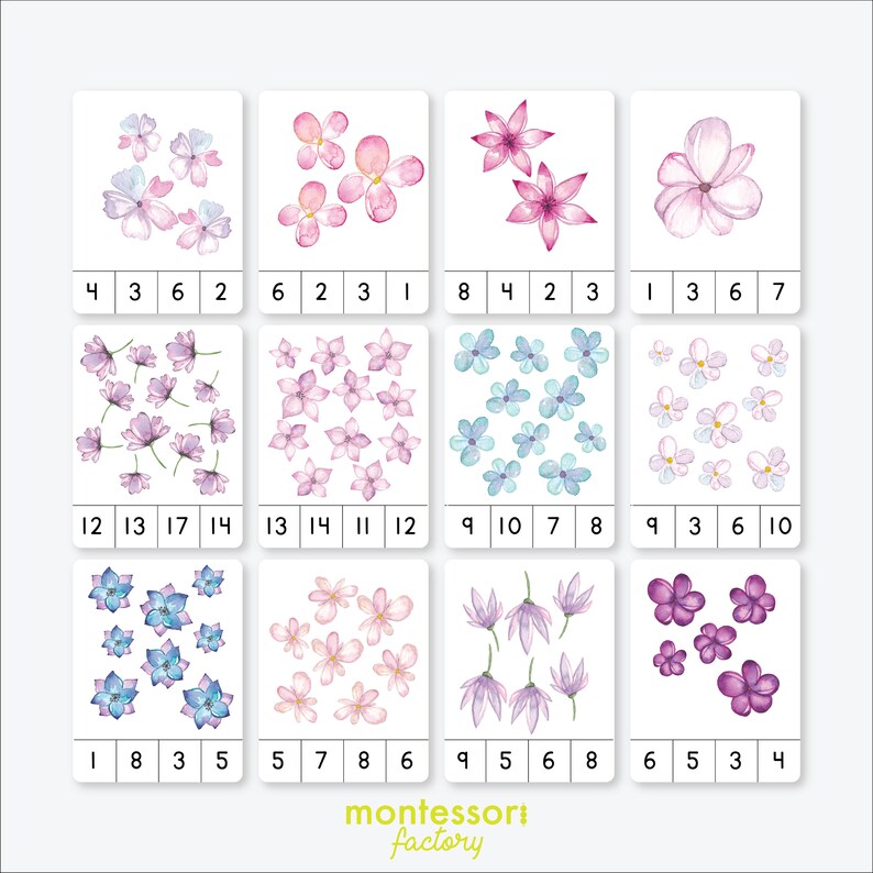 Montessori Counting Cards • Spring Flower Clip Cards (editable PDF) - Etsy