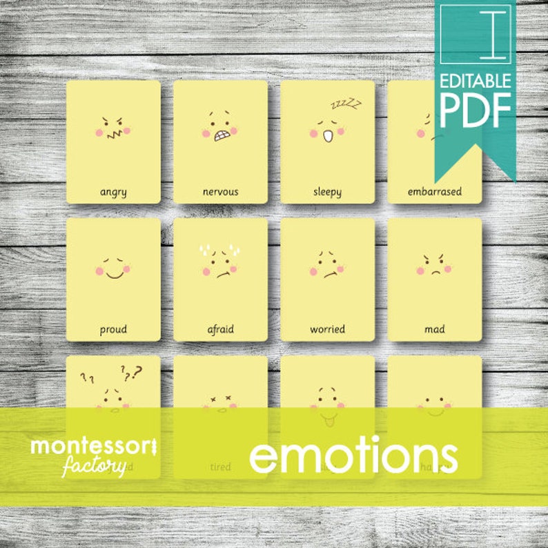 EMOTIONS FEELINGS Montessori Cards Flash Cards Three - Etsy