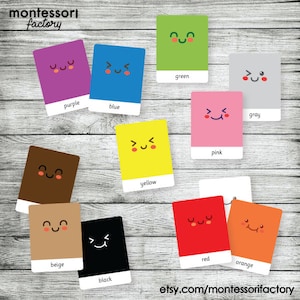 COLORS Montessori Cards Flash Cards Three Part Cards Nomenclature Cards ...
