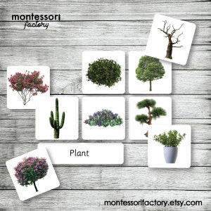 PLANT or ANIMAL real Pictures Montessori Cards Flash Cards 3 Part Cards ...