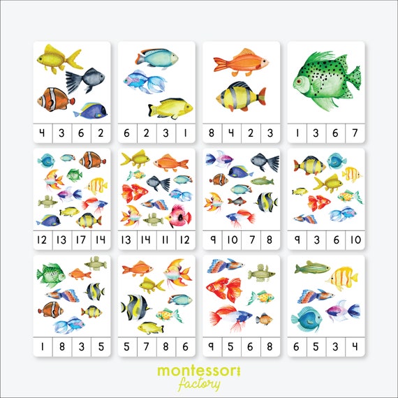 COUNTING FISHES Summer Montessori Counting Cards Clip - Etsy