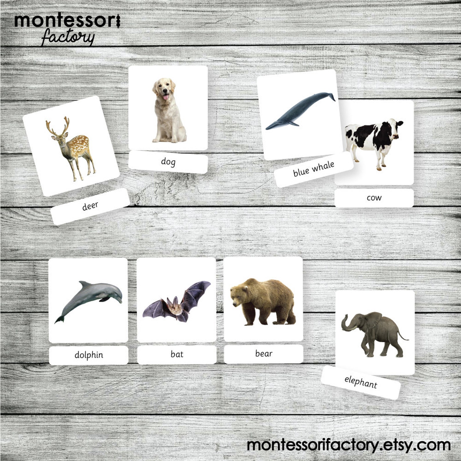 Montessori Mammals Animals Flash Cards, Three Part Nomenclature Cards ...