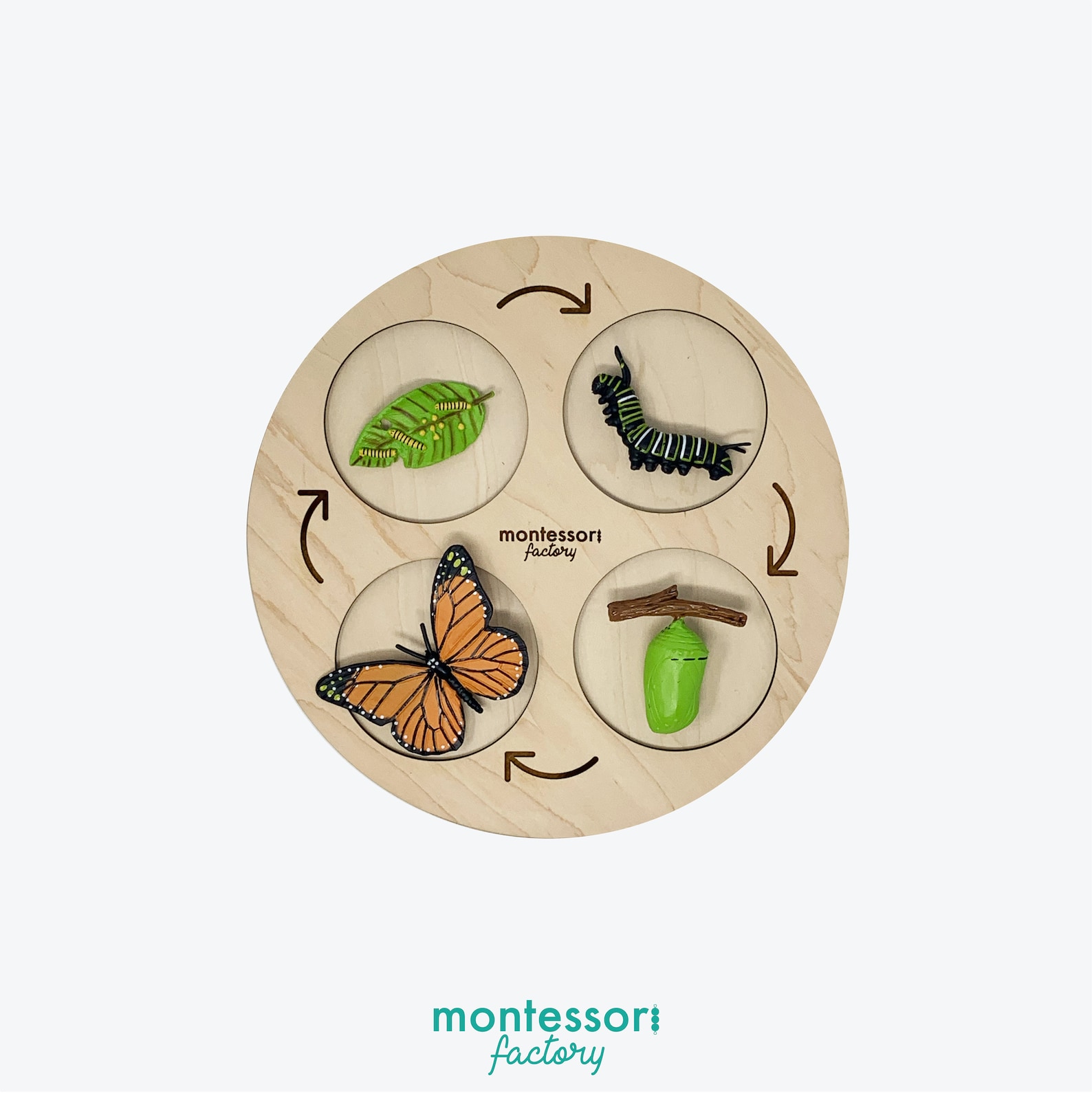 Life Cycle of a MANTA RAY Montessori Material Educational - Etsy