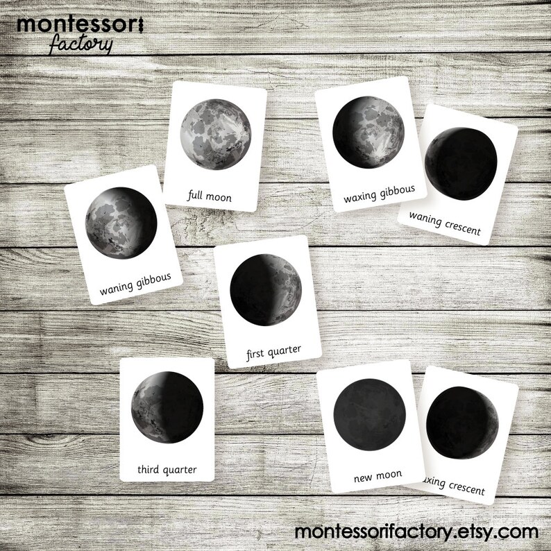 Moon Phases Montessori Nomenclature Cards • Educational PDF (editable ...