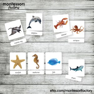 SEA OCEAN Montessori Cards Flash Cards Three Part Cards Nomenclature ...