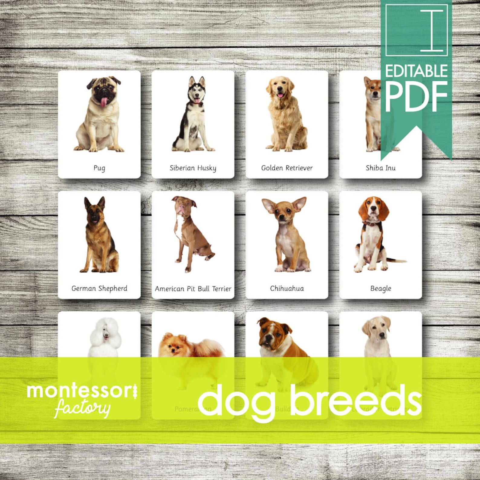 DOG BREEDS Montessori Cards Flash Cards Three Part Cards - Etsy
