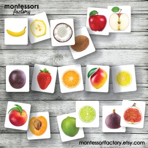 FRUITS INSIDE and OUT Montessori Cards, Flash Cards, Sorting Cards ...