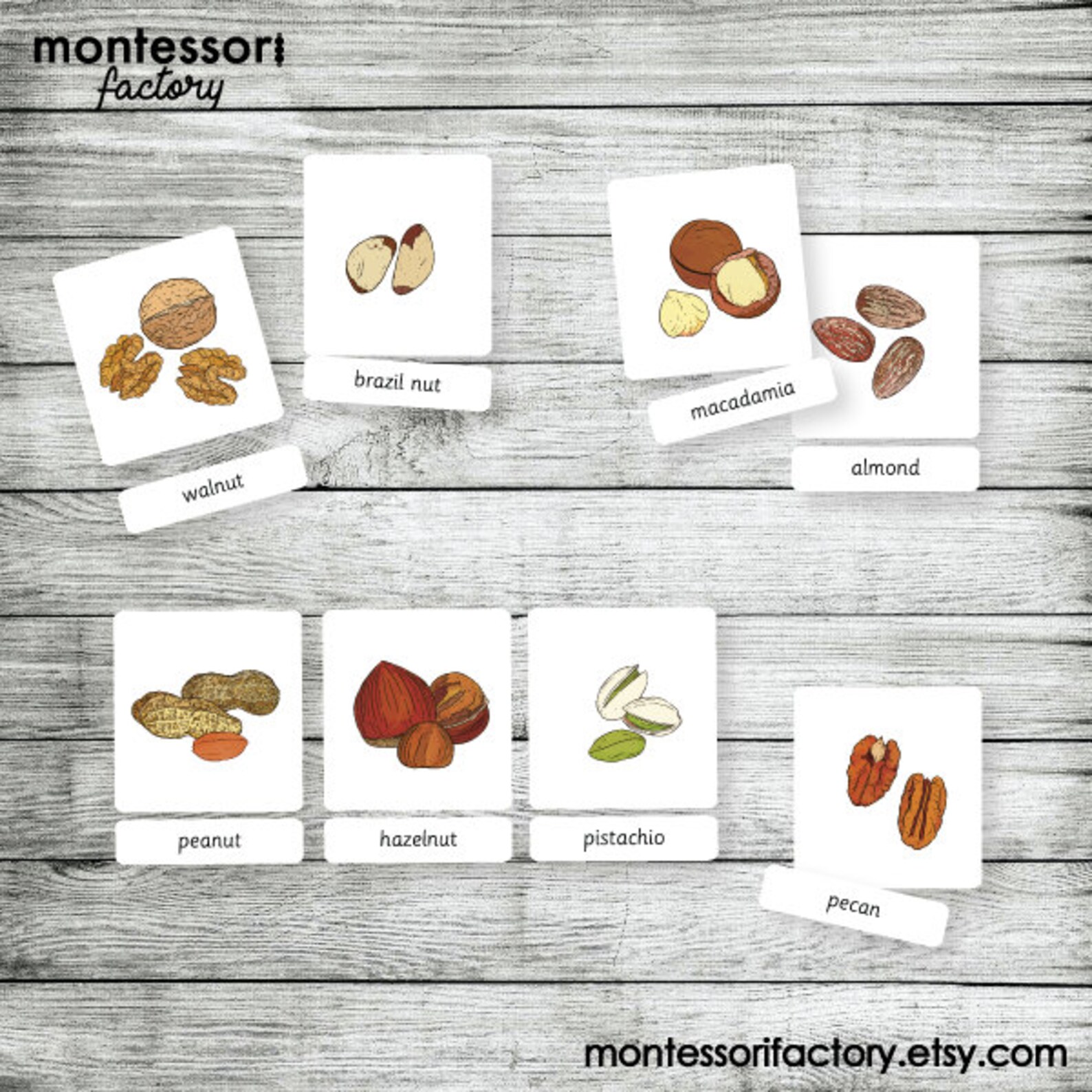 NUTS Montessori Cards Flash Cards Three Part Cards | Etsy