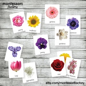 FLOWERS (real Pictures) • Montessori Cards • Flash Cards • Three Part ...
