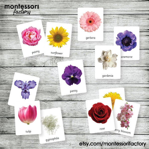 Montessori Flower Nomenclature Cards • Real Images, Editable PDF (38 ...