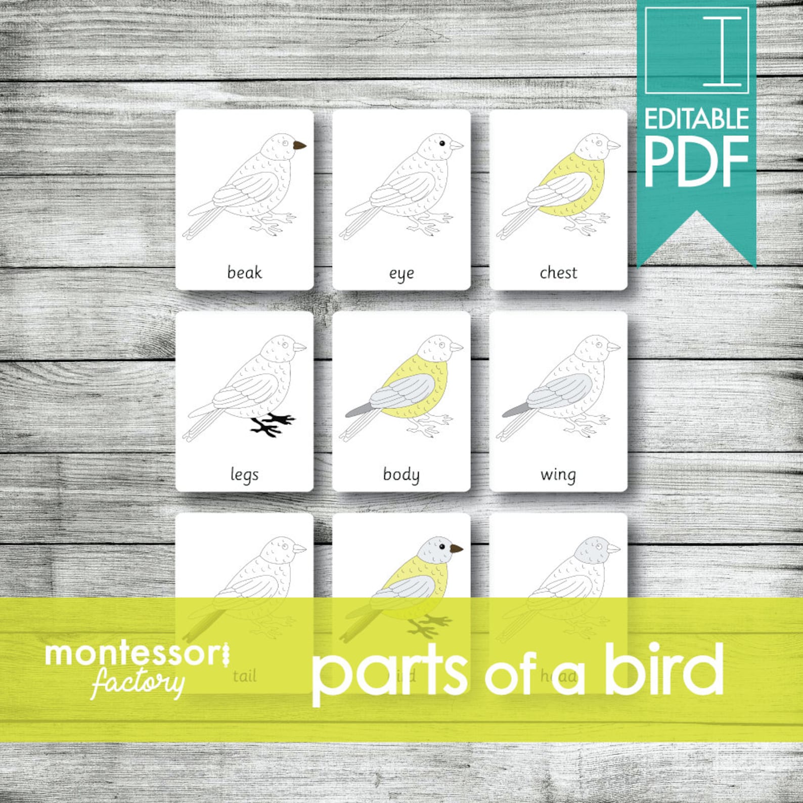 PARTS of a BIRD Montessori Cards Flash Cards Three Part Cards ...