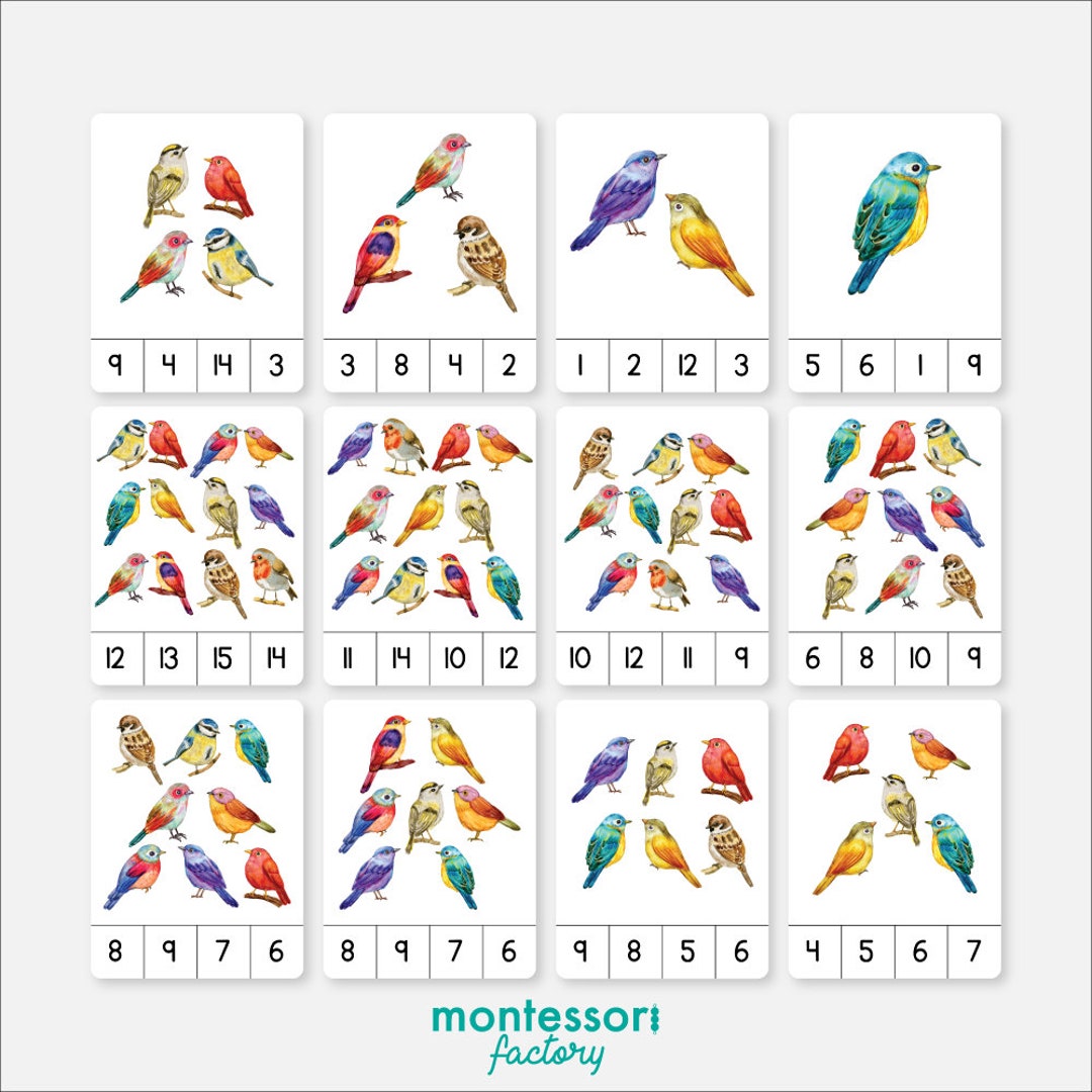 COUNTING BIRDS • Montessori Counting Cards • Clip Cards • Flash Cards ...