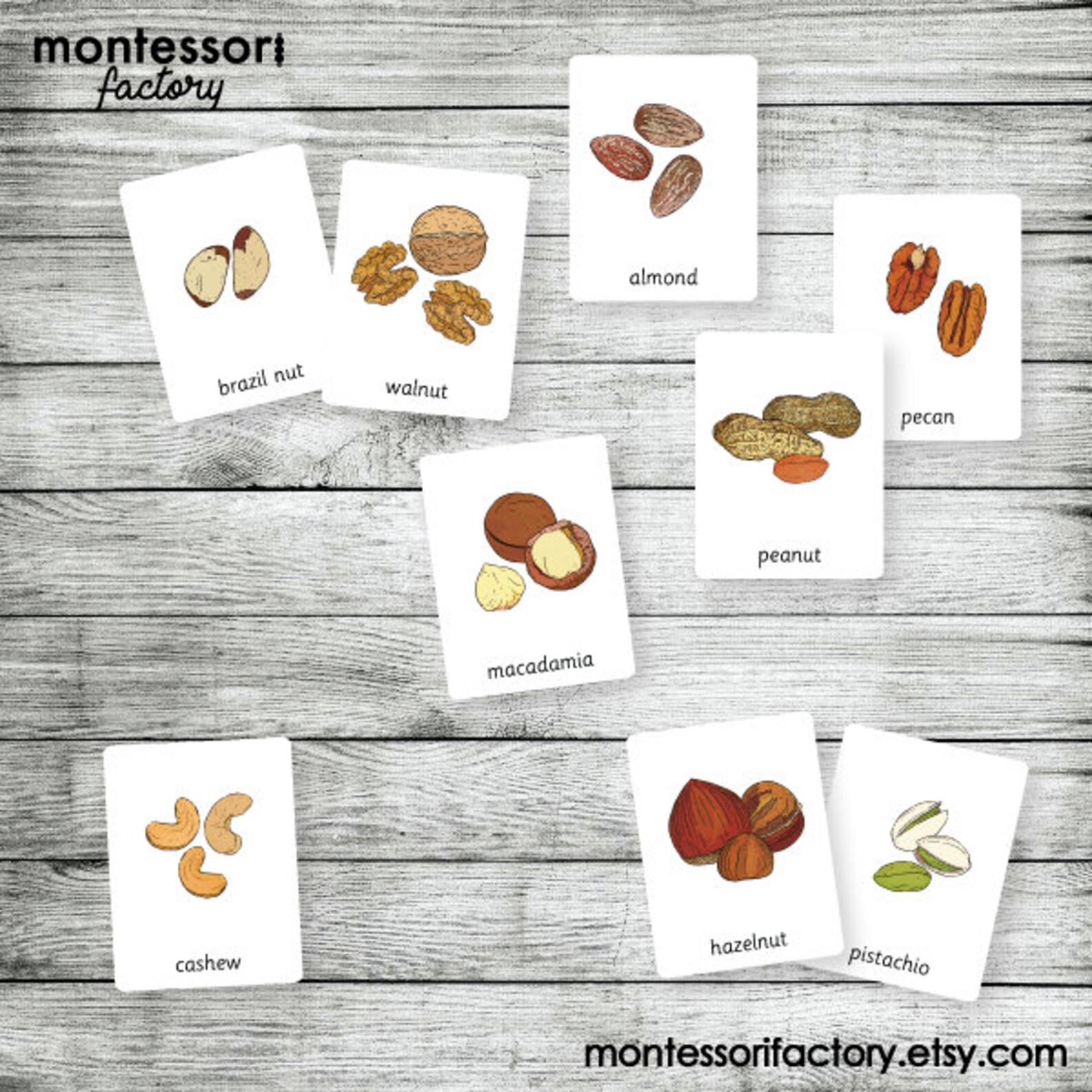 NUTS Montessori Cards Flash Cards Three Part Cards | Etsy