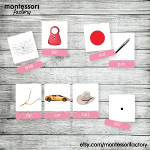 PINK SERIES • Montessori Nomenclature - Flash - 3 Parts Cards ...