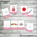 PINK SERIES Montessori Nomenclature Flash 3 Parts Cards - Etsy