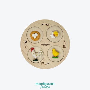 Life Cycle of a BLACK SWAN • Montessori Material • Educational Toy ...