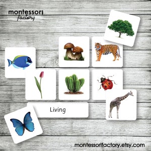 LIVING or NONLIVING (real Pictures) Montessori Cards, Flash Cards ...