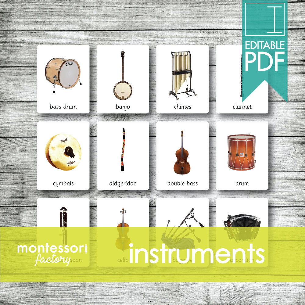 MUSICAL INSTRUMENTS Montessori Cards Flash Cards Three - Etsy