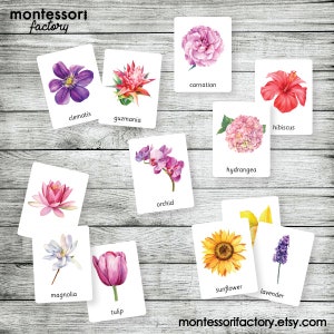 FLOWERS (BOTANY) • Montessori Cards • Flash Cards • Three Part Cards ...