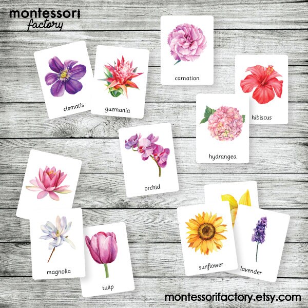 FLOWERS BOTANY Montessori Cards Flash Cards Three Part - Etsy