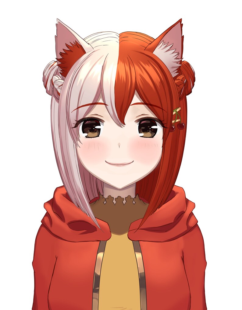 CUSTOM VTUBER Full body | Etsy