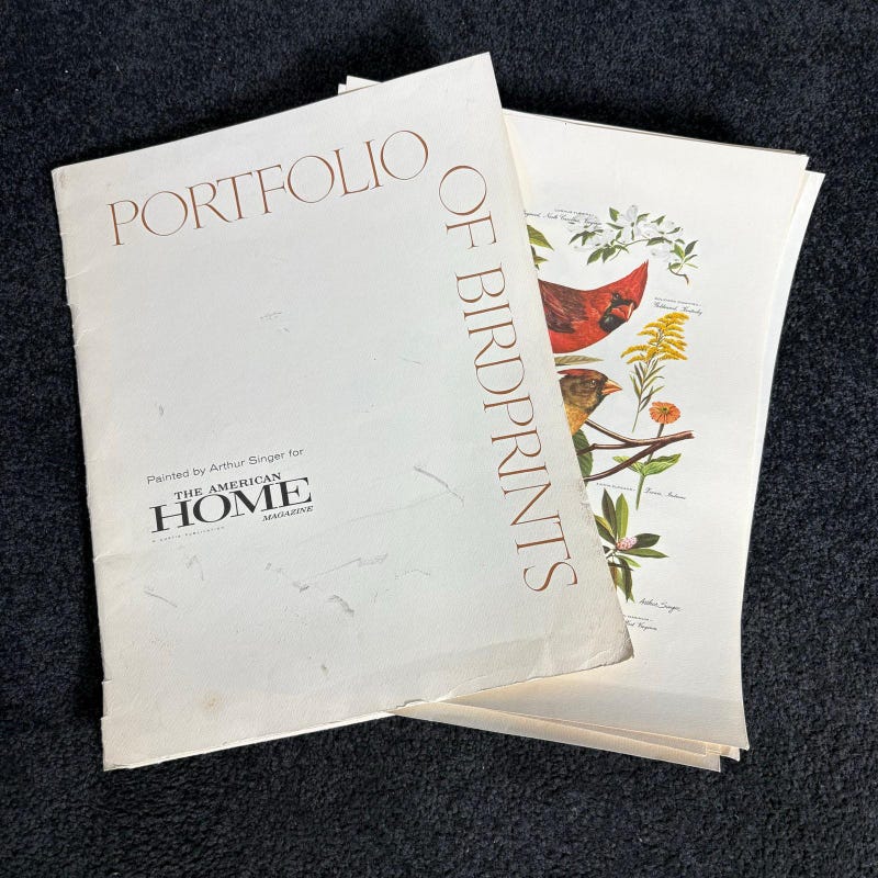 Arthur Singer Bird Art - Etsy UK