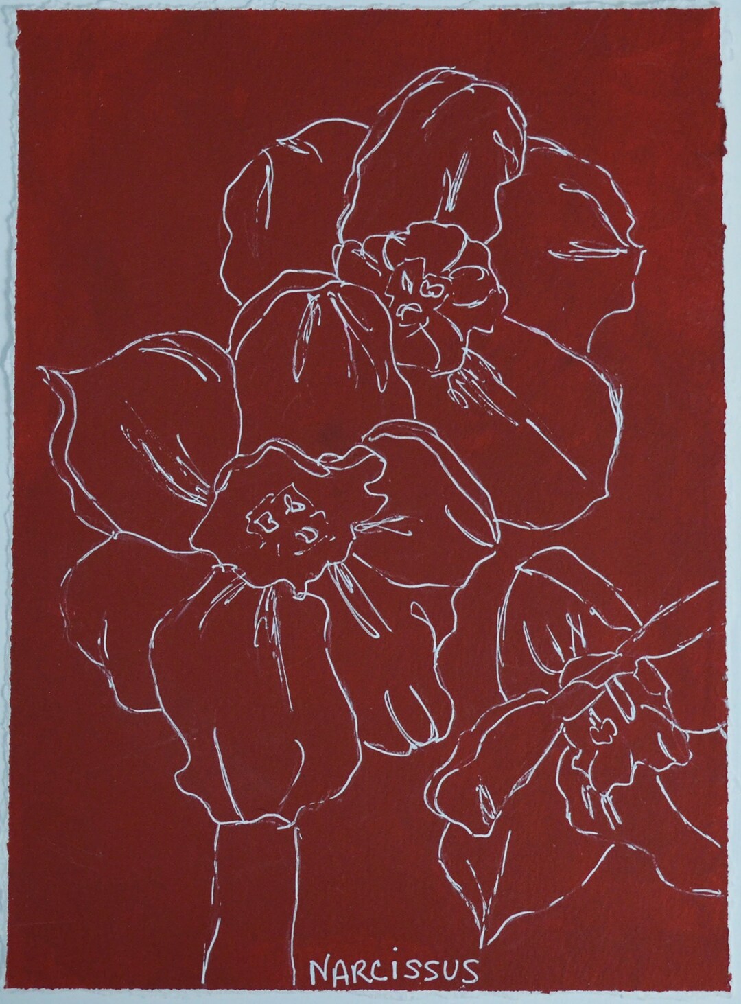 Narcissus Line Drawing Hand Painted Acrylic on Watercolor Paper 8x11 ...