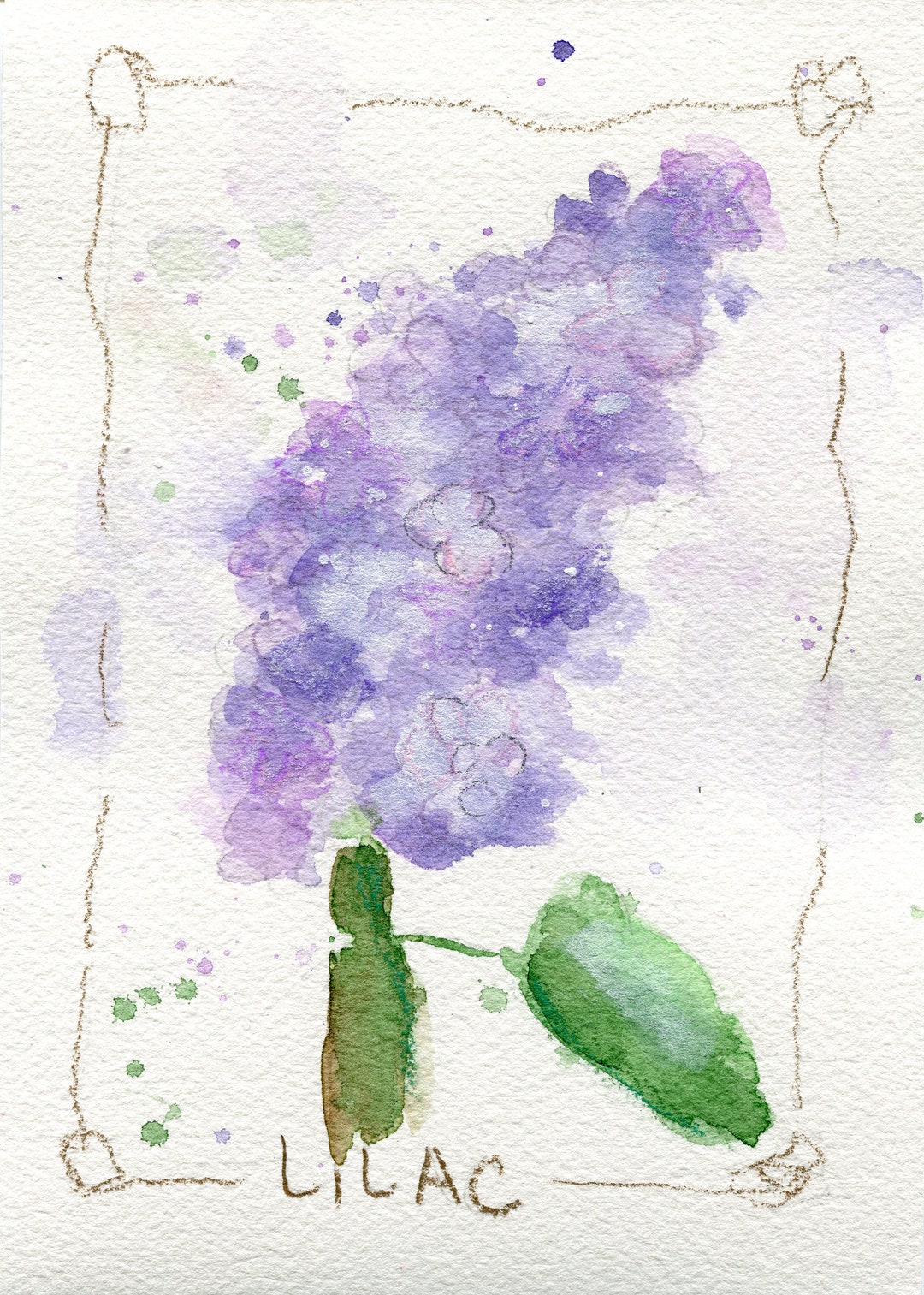 Set of 4 Hand Painted Watercolor Flower Paintings 5x7, Freesia, Anemone ...