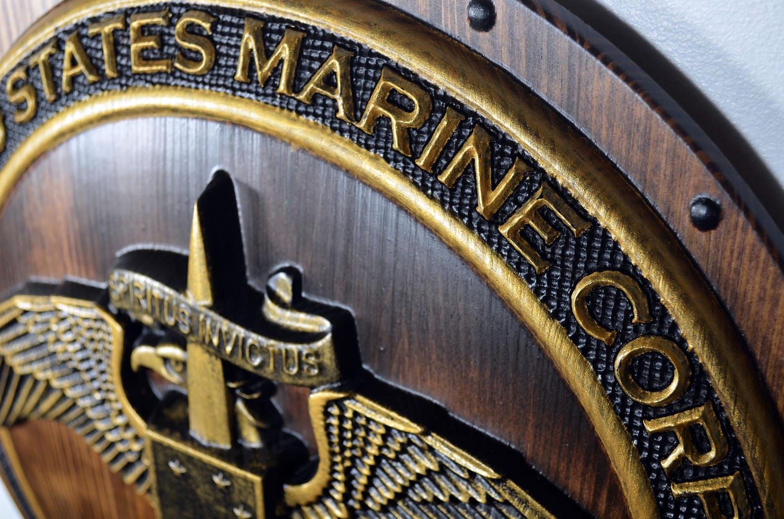 USMC Marine Raiders Badge on Shield, Marine Special Operations, Painted ...