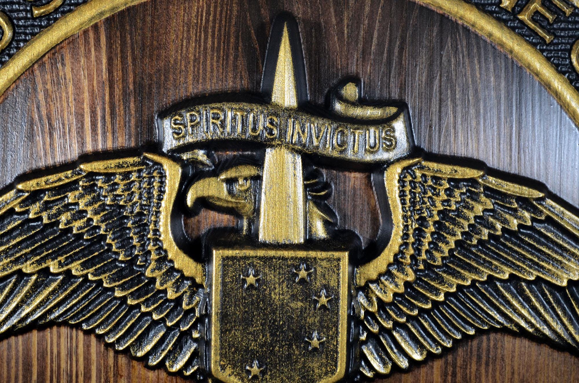 USMC Marine Raiders Badge on Shield, Marine Special Operations, Painted ...