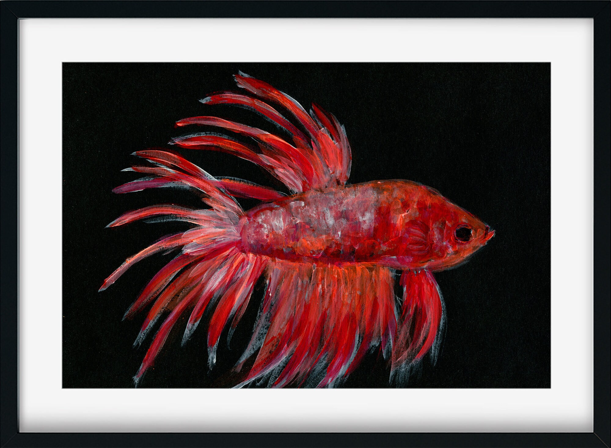 Japanese Fighting Fish