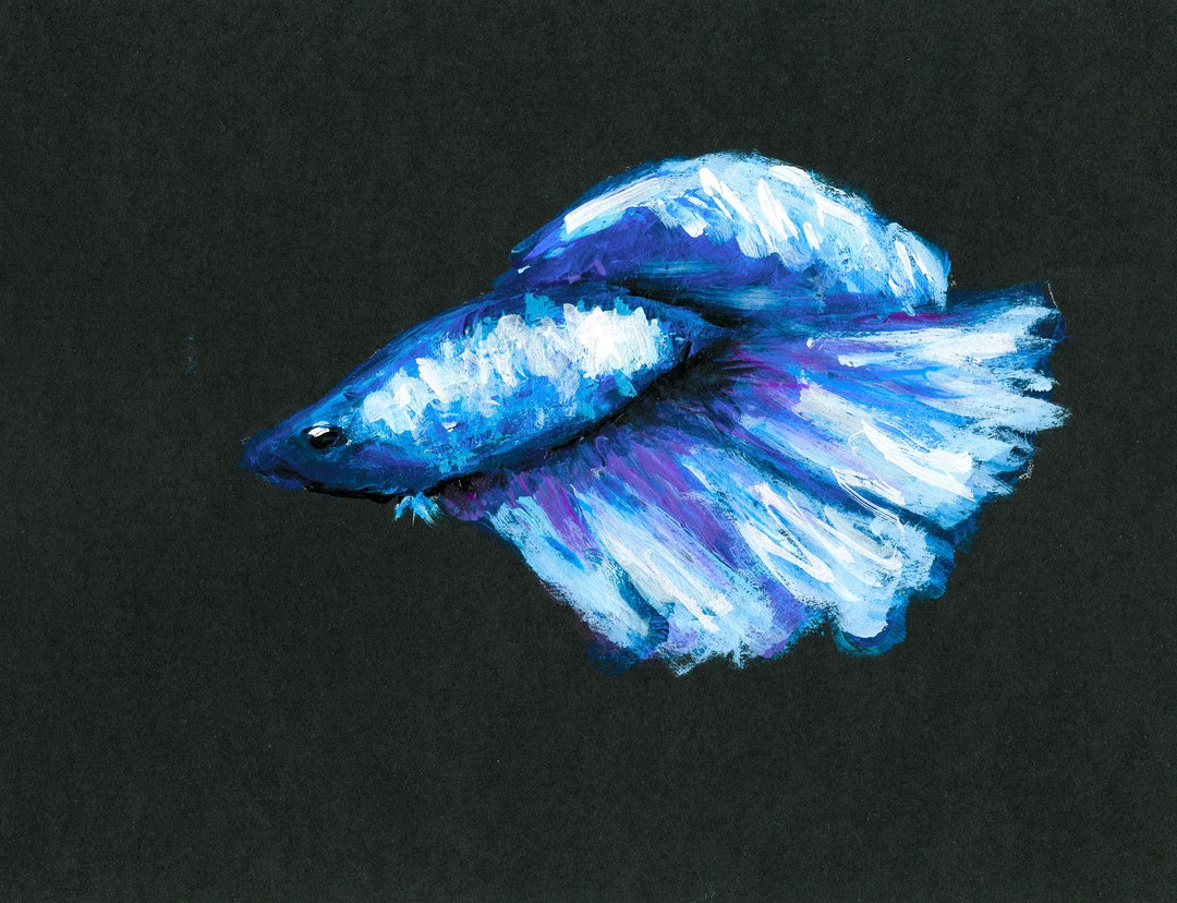 Original Betta Fish Acrylic Art in Blue, Purple, White on Black Paper ...