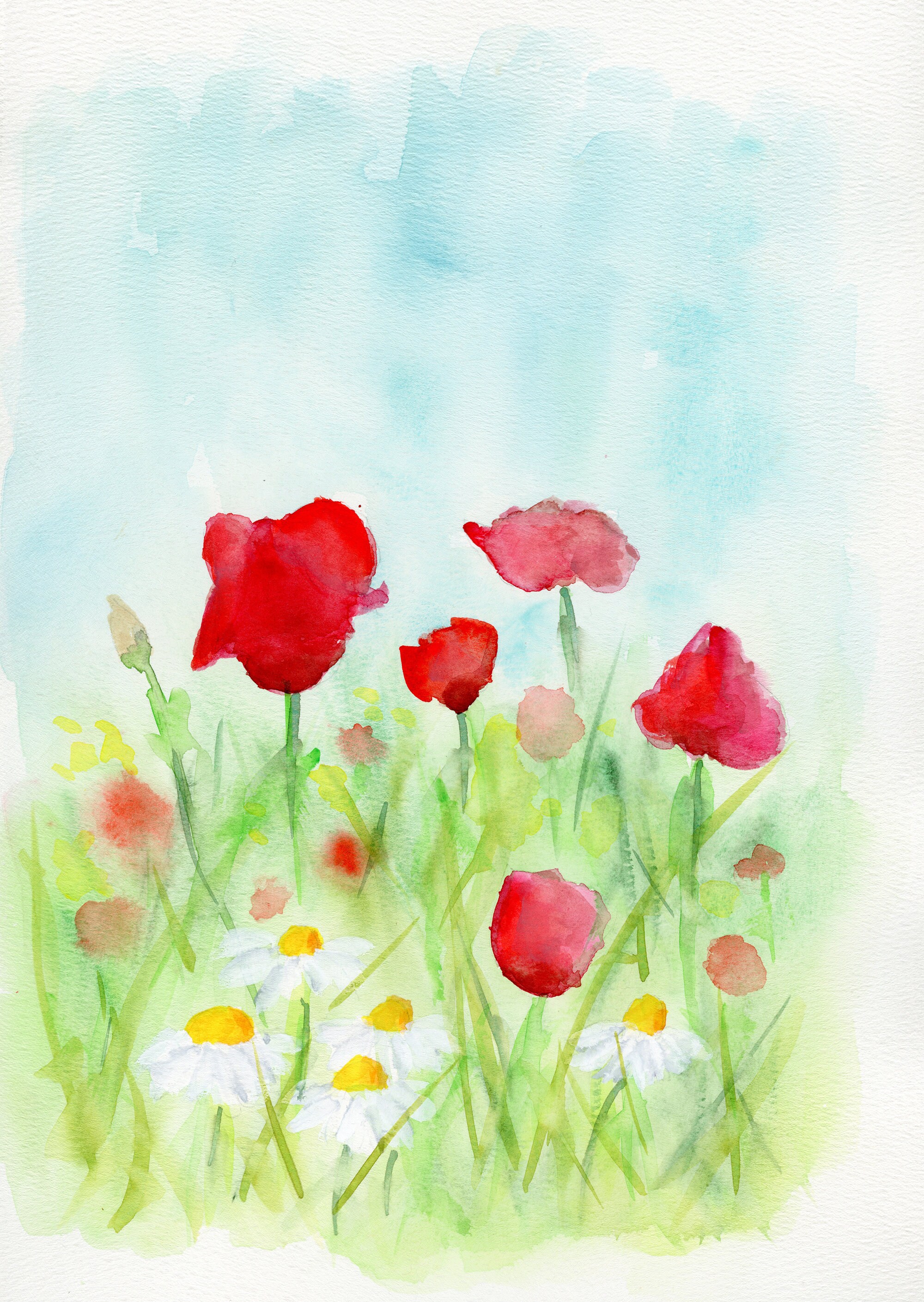 Poppy Field Original Watercolor Painting Spring Bloom Gallery | Etsy