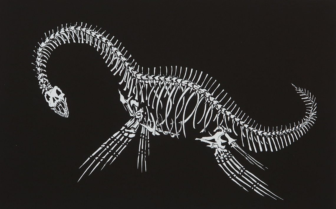 Loch Ness Monster Bones 13x19 Art Print | Etsy