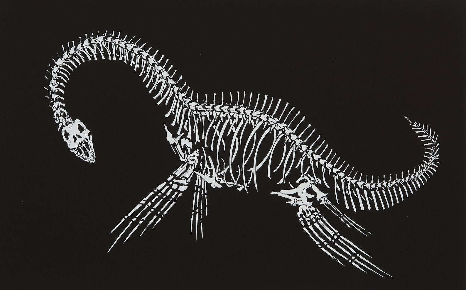 Loch Ness Monster Bones 13x19 Art Print - Etsy Ireland